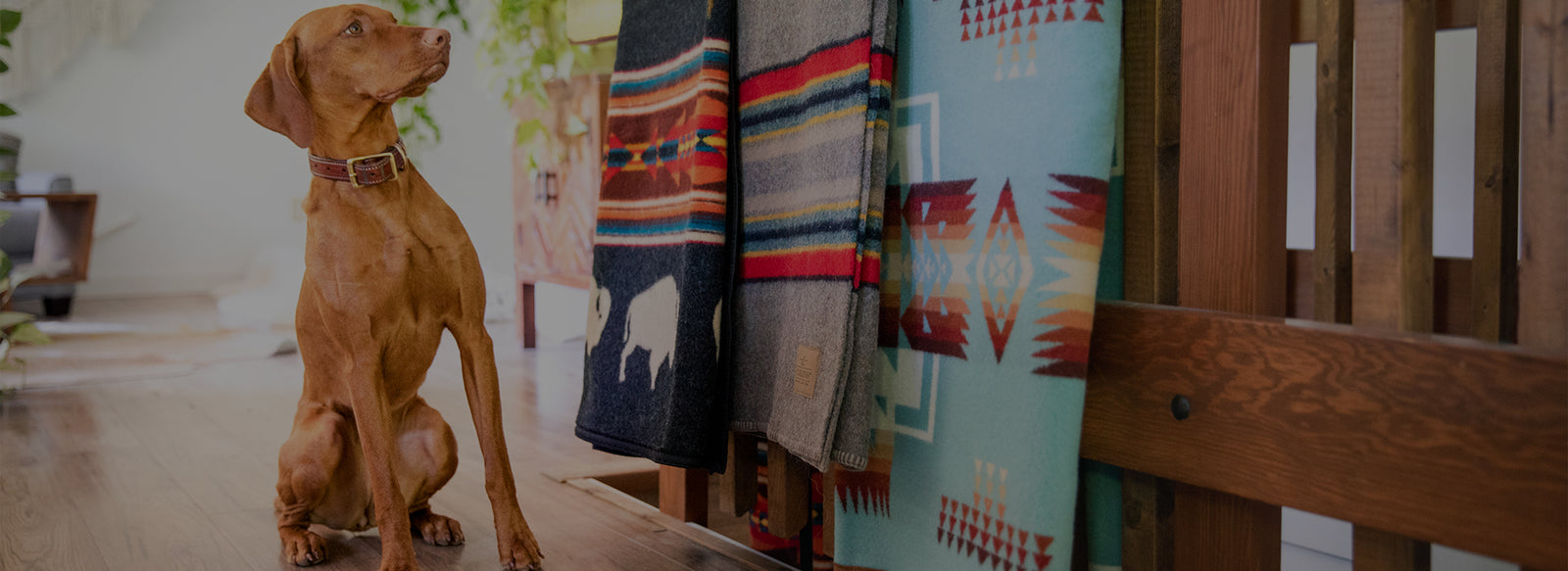 Wool Blankets by Pendleton Canada